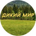 Иконка канала ДИКИЙ МИР