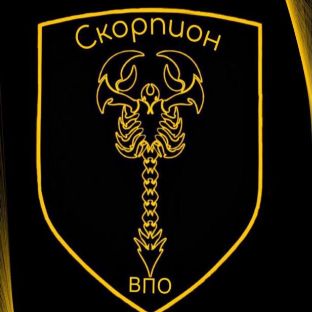 Иконка канала ВПО "Скорпион"
