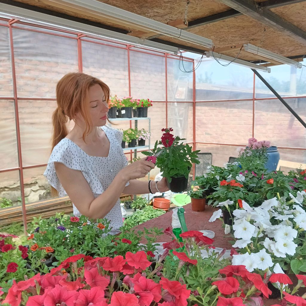 Иконка канала 🍀Зацветем🍀