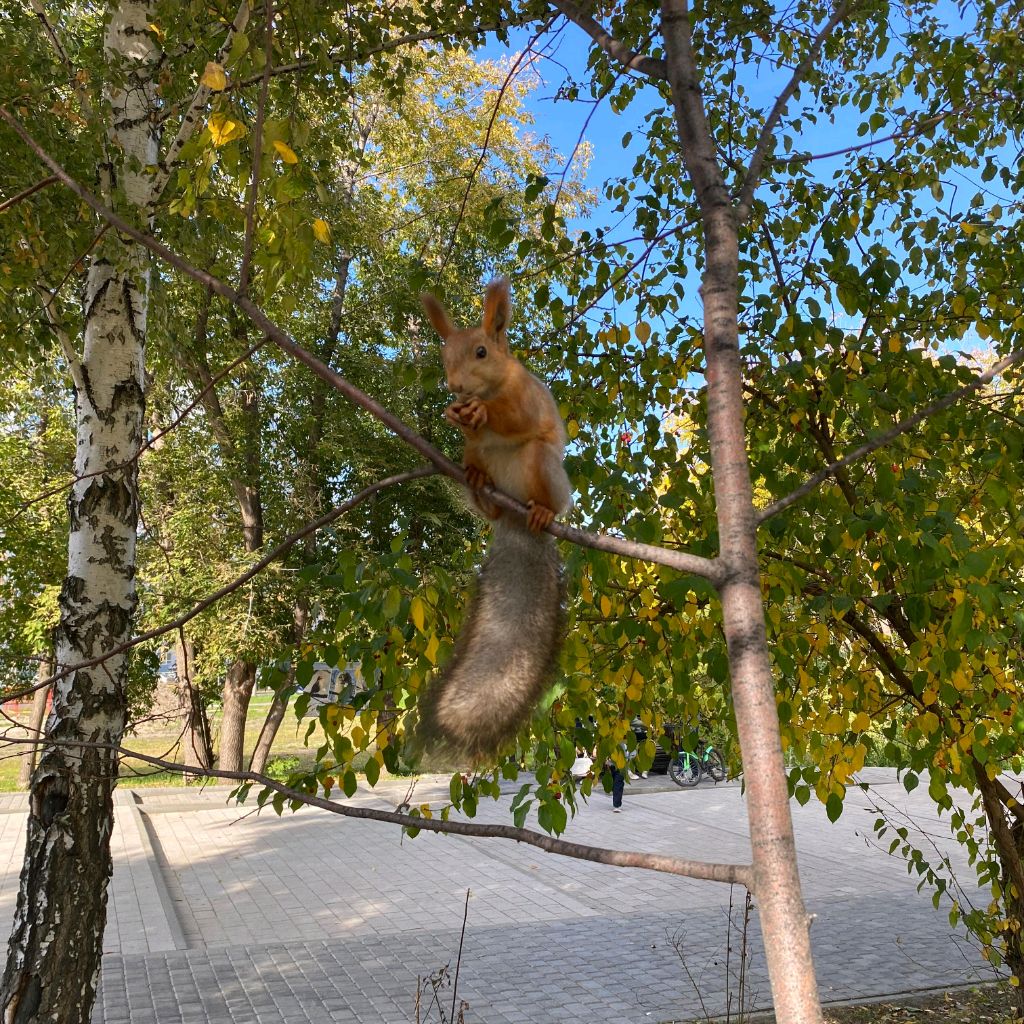 Иконка канала ~🤍💓Miss Sonya💓 🤍~