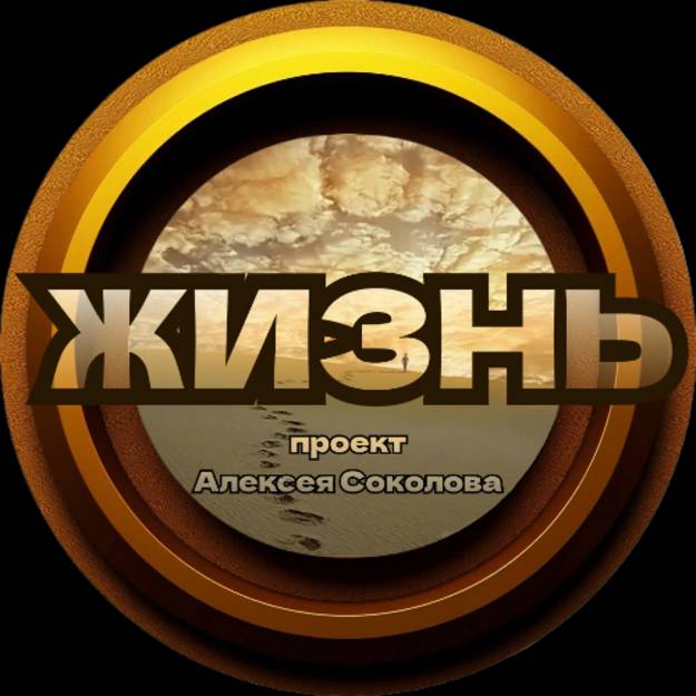 Иконка канала ЖИЗНЬ. Канал Алексея Соколова