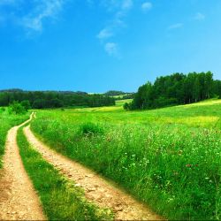 Иконка канала Хутора Белорусские