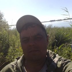 Иконка канала Николай Достовалов