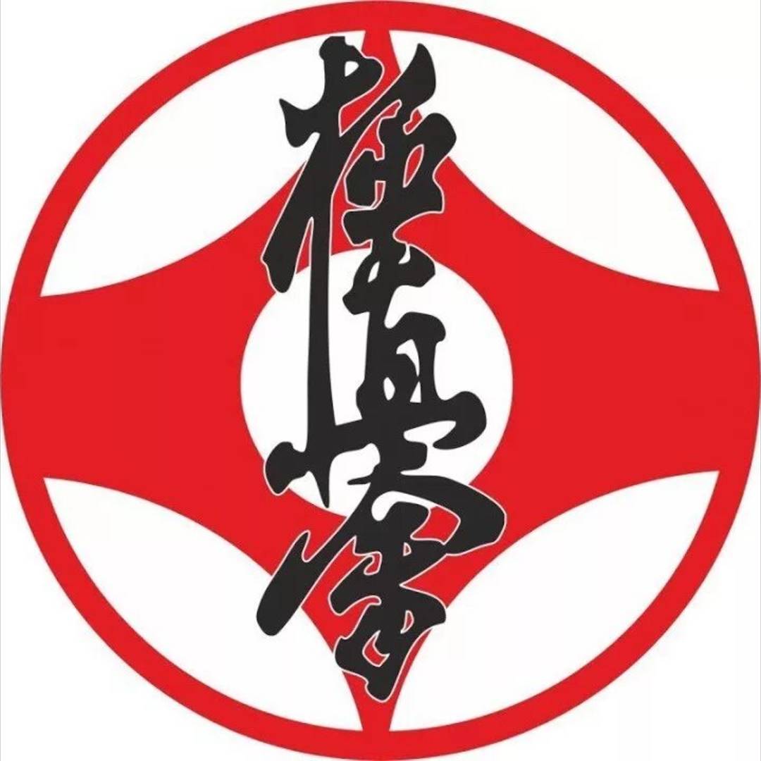 Иконка канала Карате Кёкусинкай - Путевые заметки