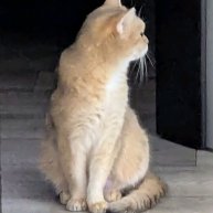 Иконка канала Вован_олд