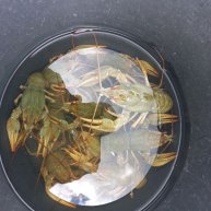 Иконка канала РыболовPro " Клёвое место" - всё о Всём