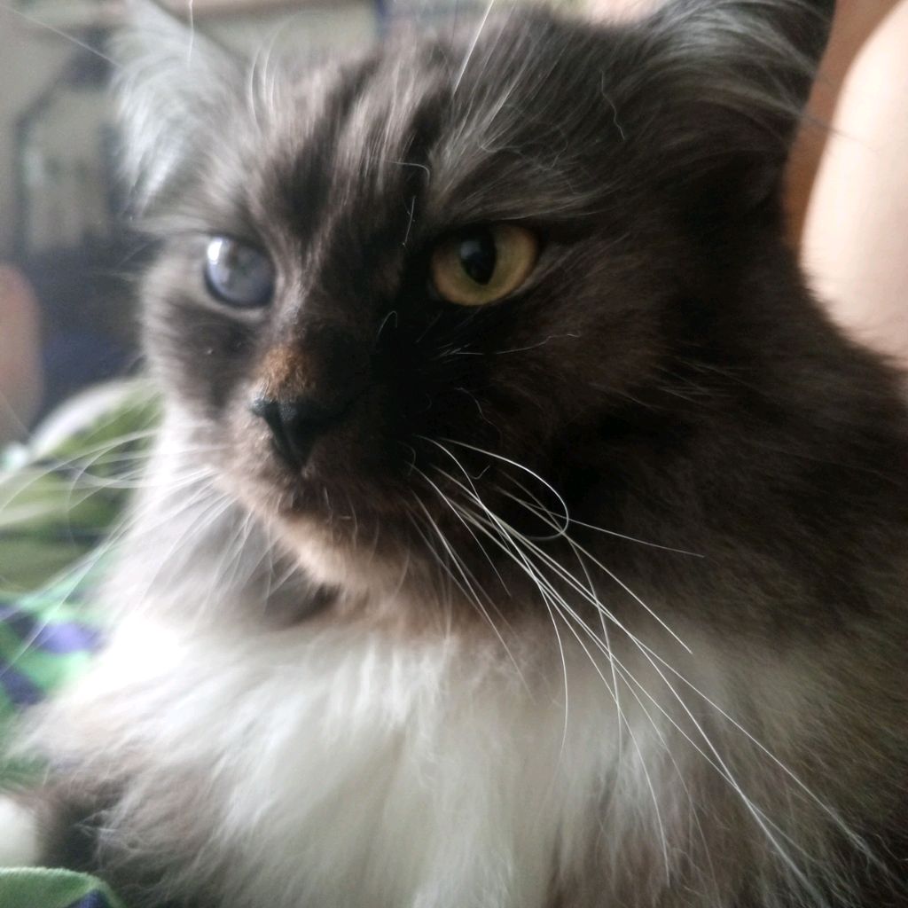 Иконка канала Pikselizm Drive