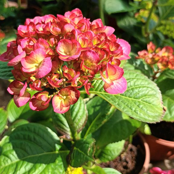 Иконка канала Тепличный Бизнес В Тамбове