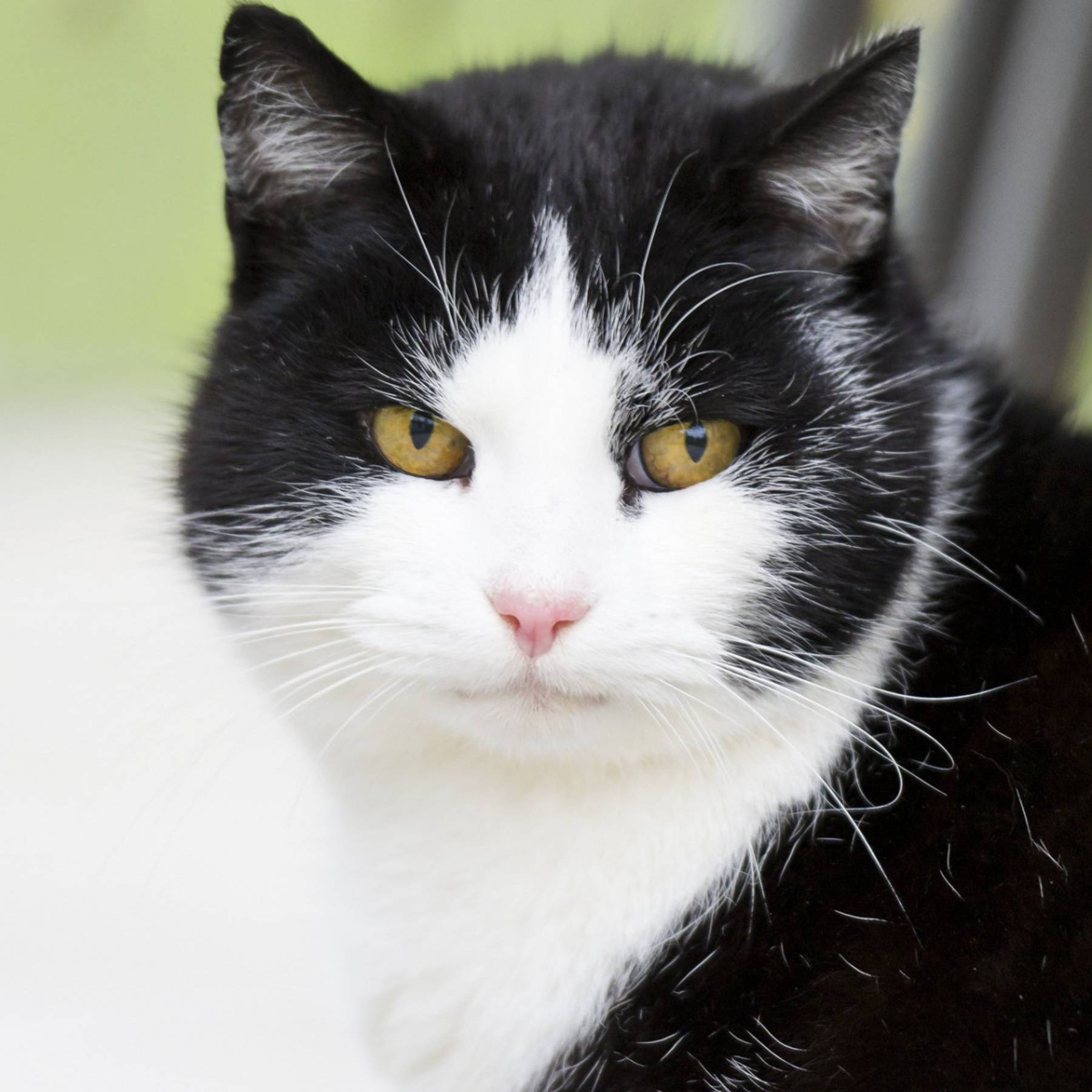 Иконка канала WWWsuper