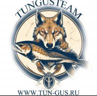 Иконка канала Tungusteam