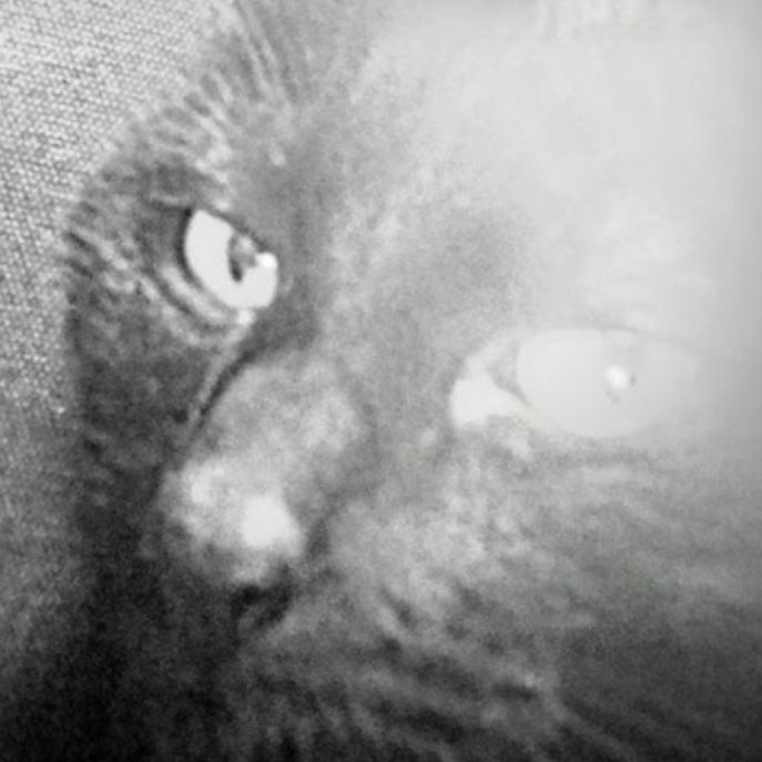 Иконка канала Naikl24