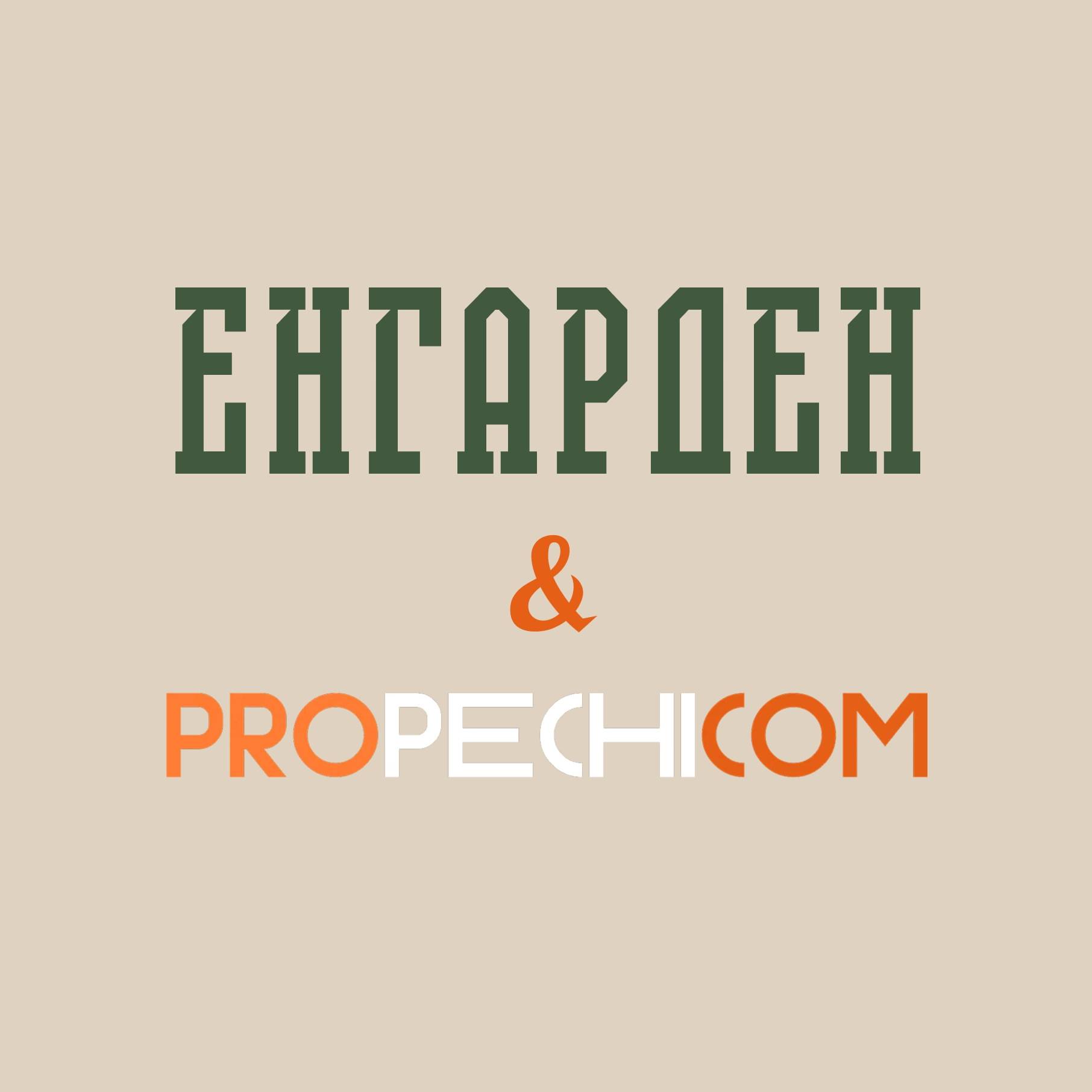 Иконка канала Engarden