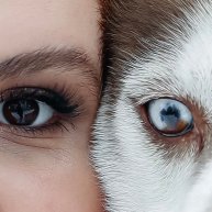 Иконка канала Диана и Алтай | Собачья жизнь