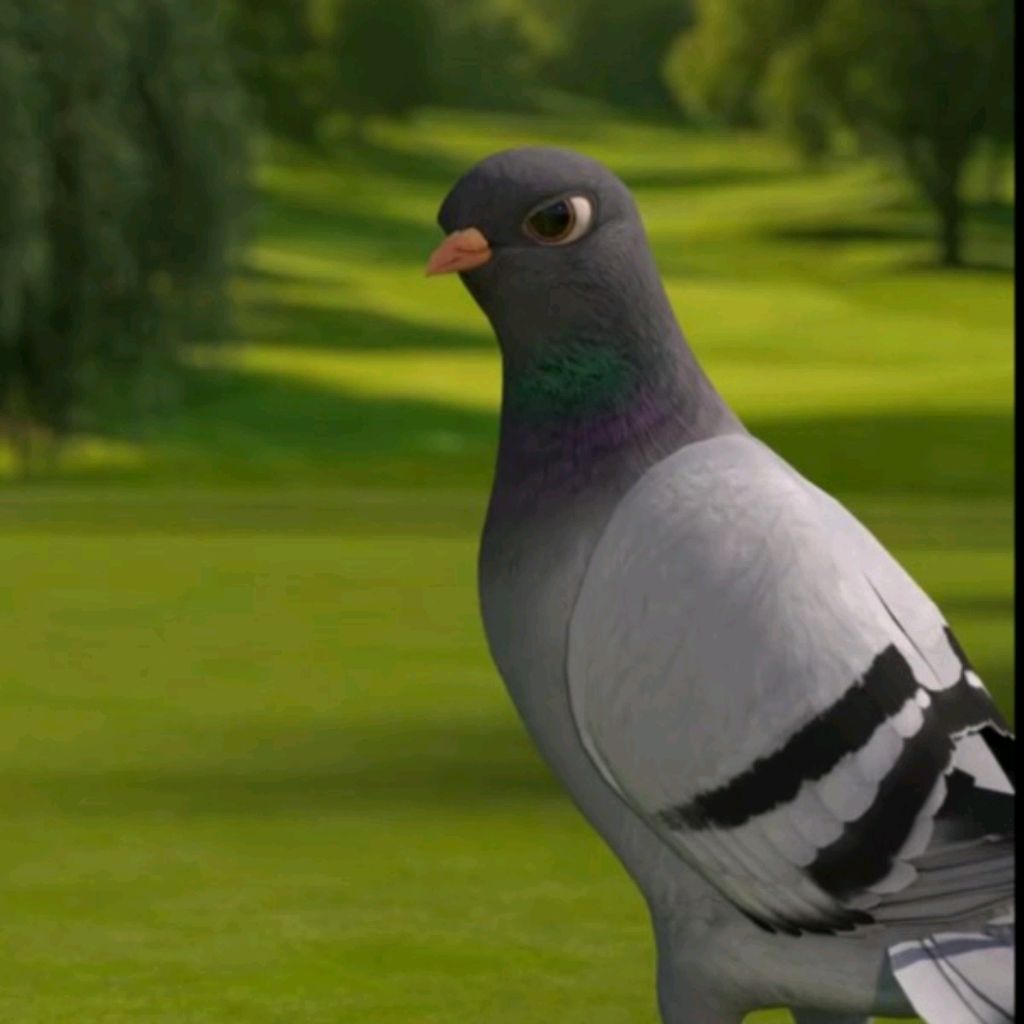 Иконка канала 🕊️Голубь Rutube🕊️