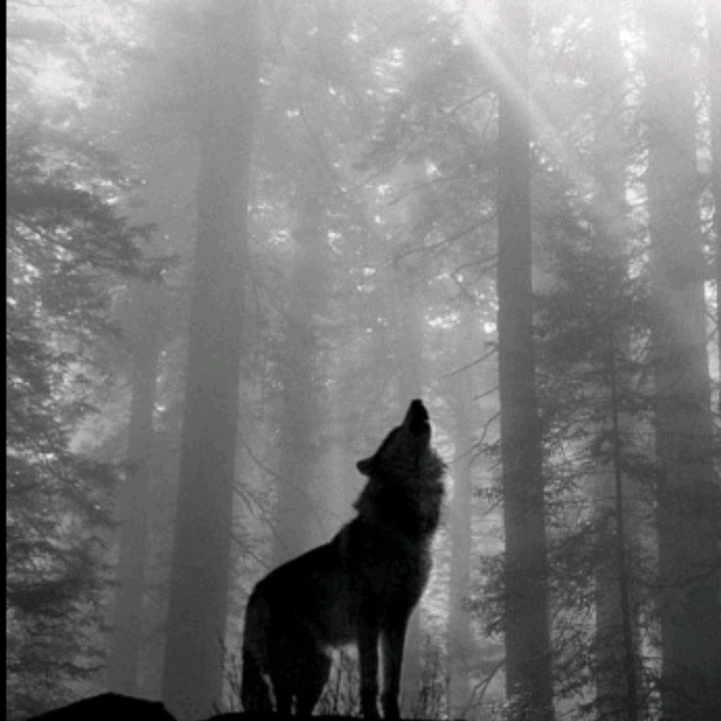 Иконка канала channel70101399