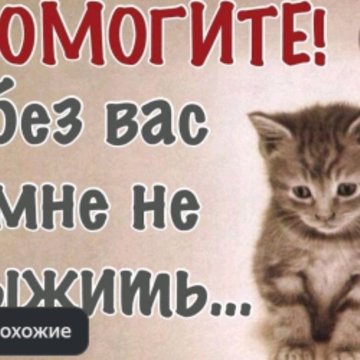 Иконка канала Дима ар 6