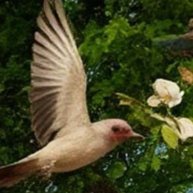 Иконка канала Нейросеточка