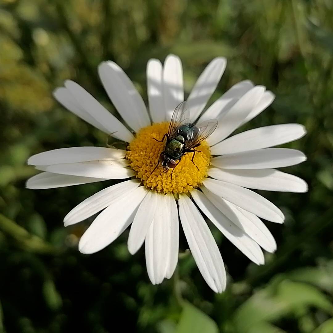 Иконка канала Полёт фантазии