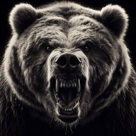 Иконка канала Русский Север