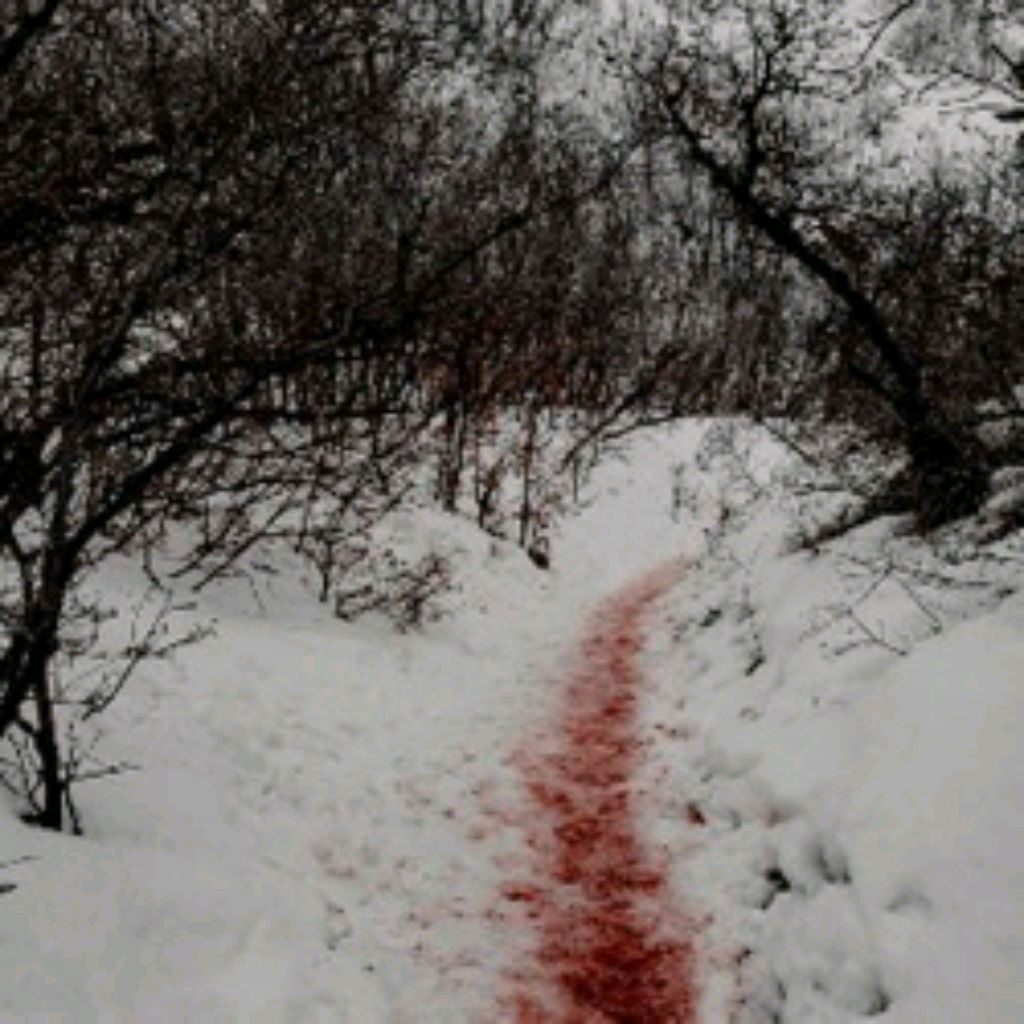 Иконка канала ᥉ᥴᥲr𐔤 ᥉t𐔖rιᥱ᥉ ιᥒ rᥙ᥉᥉~✂️