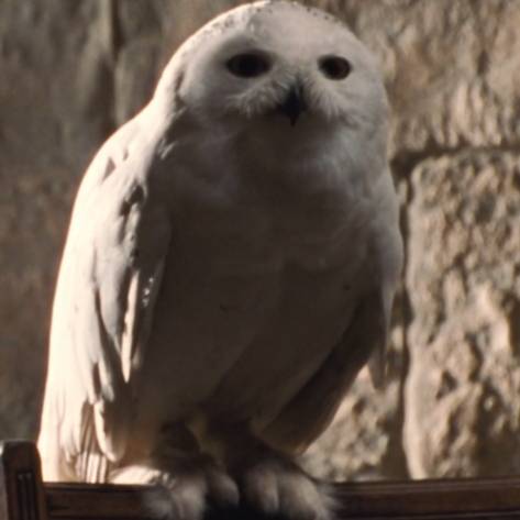 Иконка канала Timplay