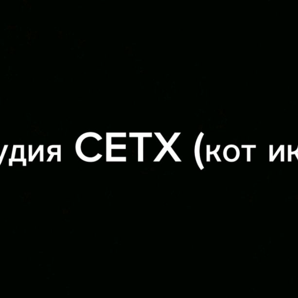 Иконка канала CETX(коты икс)