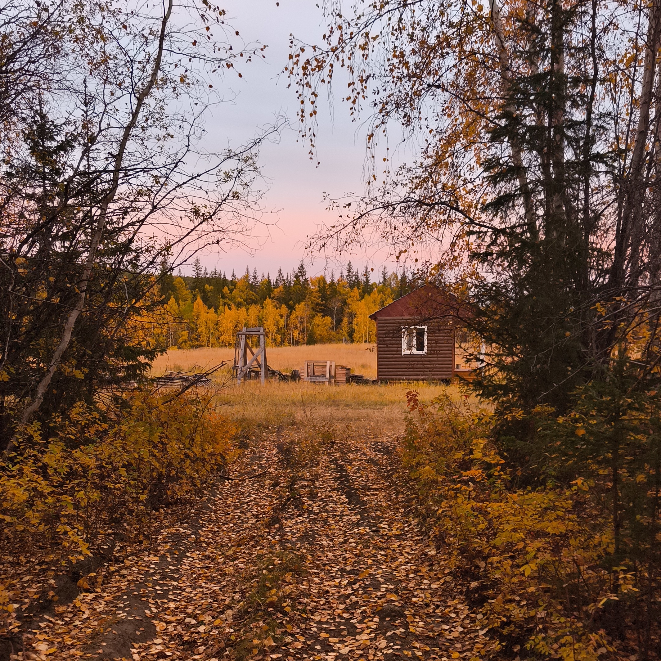 Иконка канала ЭРЭЛ ТРЭВЭЛ