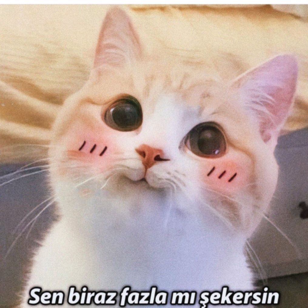 Иконка канала 乂丂🅦Ⓚ卂