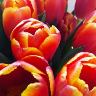 Иконка канала НА ПОЗИТИВЕ