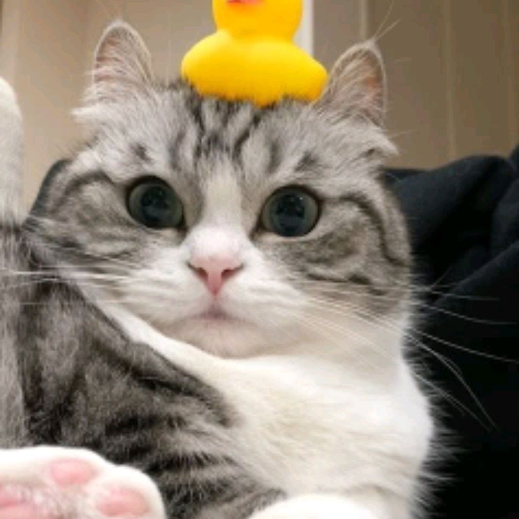 Иконка канала Я тут💛😏