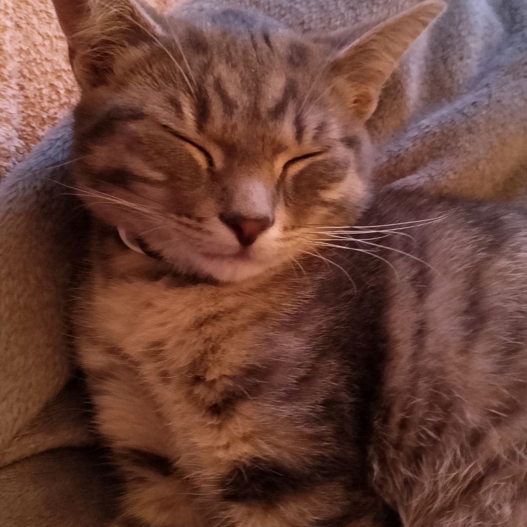 Иконка канала Андрей