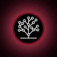 Иконка канала Психология неявного