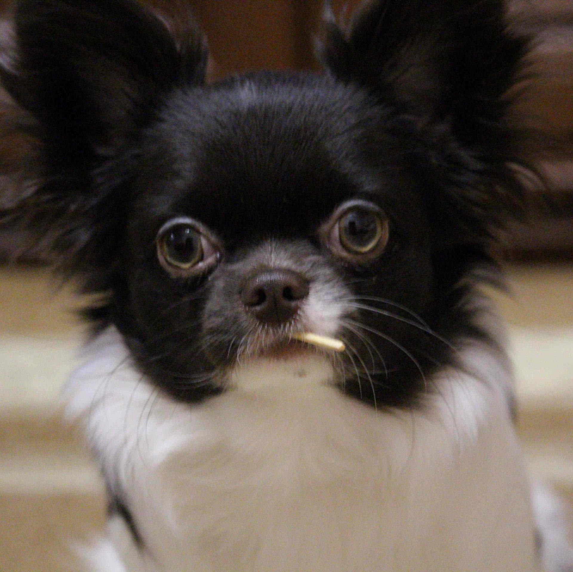 Иконка канала 3Н