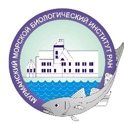 Иконка канала MMBI