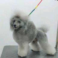 Иконка канала Сказочная крошка🐾