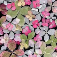 Иконка канала MaryLand