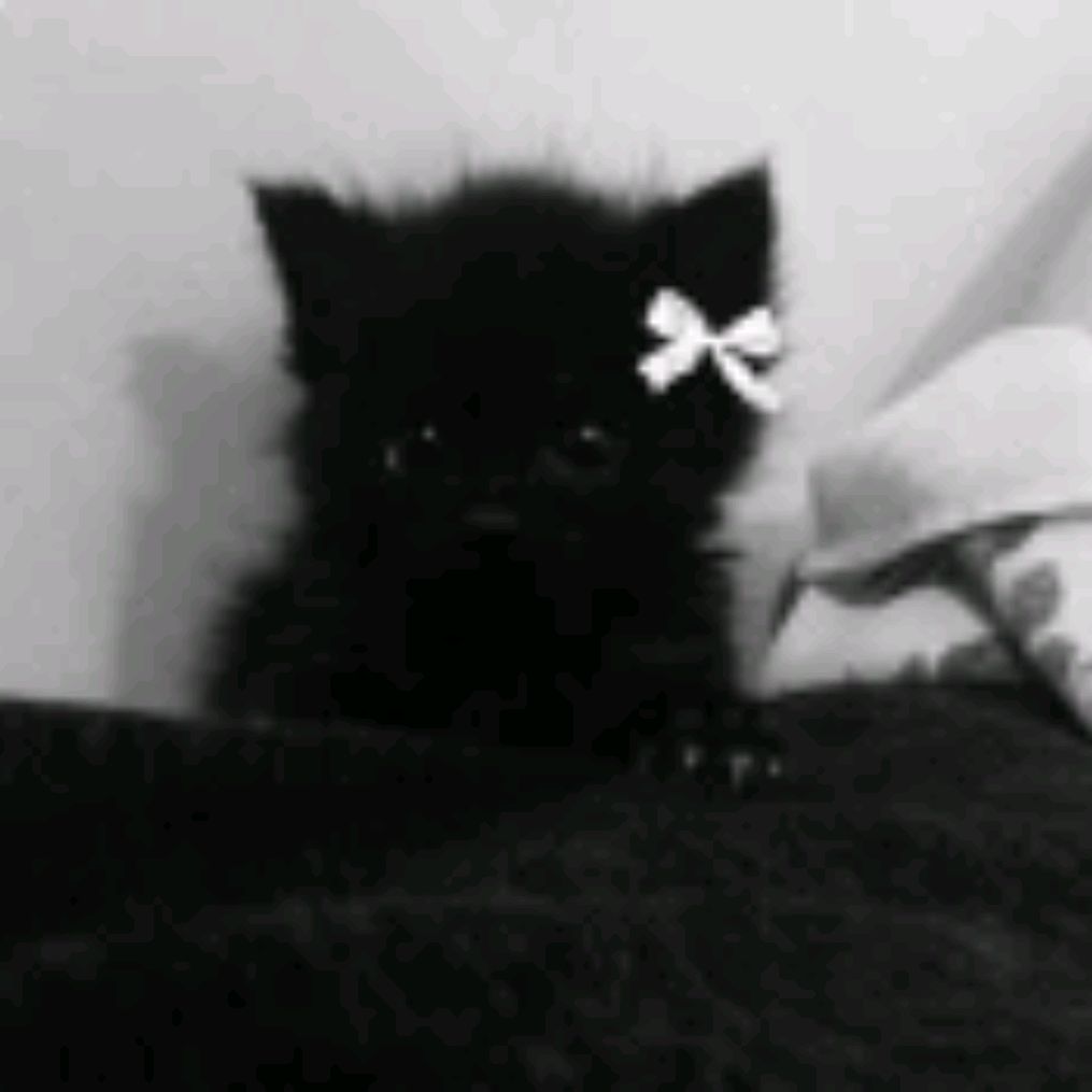 Иконка канала .🎀соля🎀.