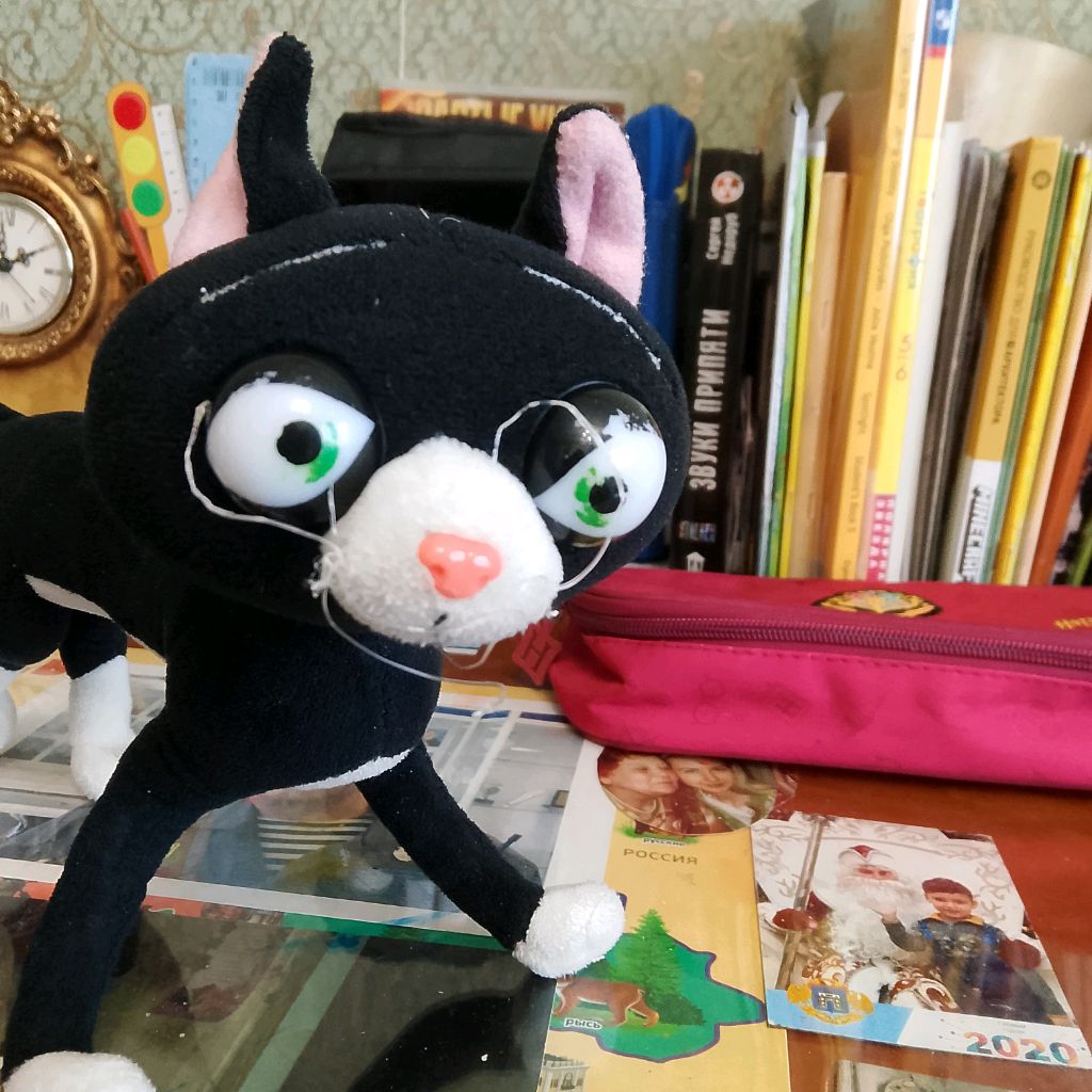 Иконка канала Кошка Котунья