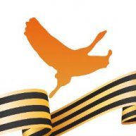 Иконка канала Дорога Памяти