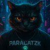 Иконка канала ParaCatZK