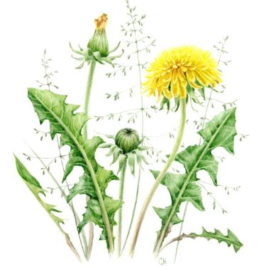 Иконка канала Art