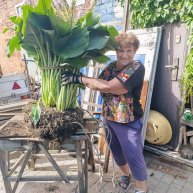 Иконка канала Tomik-green