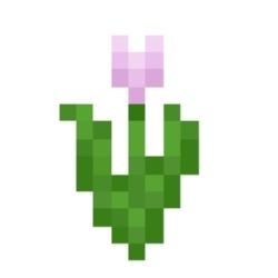 Иконка канала Tockha