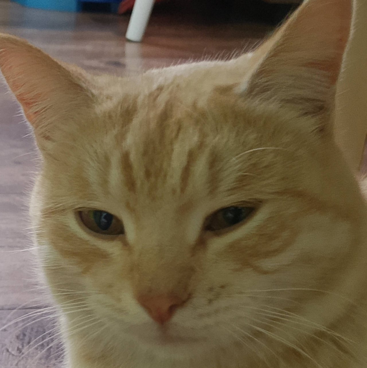 Иконка канала Ульянка меф