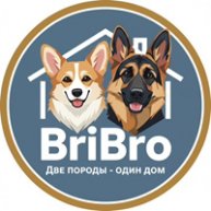 Иконка канала Корги & Овчарки