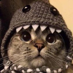 Иконка канала Шаранутый Космос (Перелезалив)