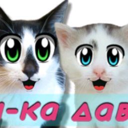 Иконка канала Kitty Milk  Мяу Мяу Мяу