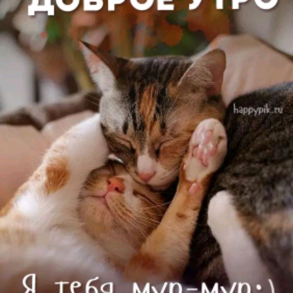 Иконка канала Подпишись Или Слобо