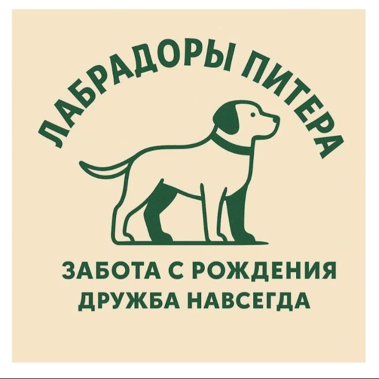 Иконка канала Лабрадоры Питера - щенки лабрадора