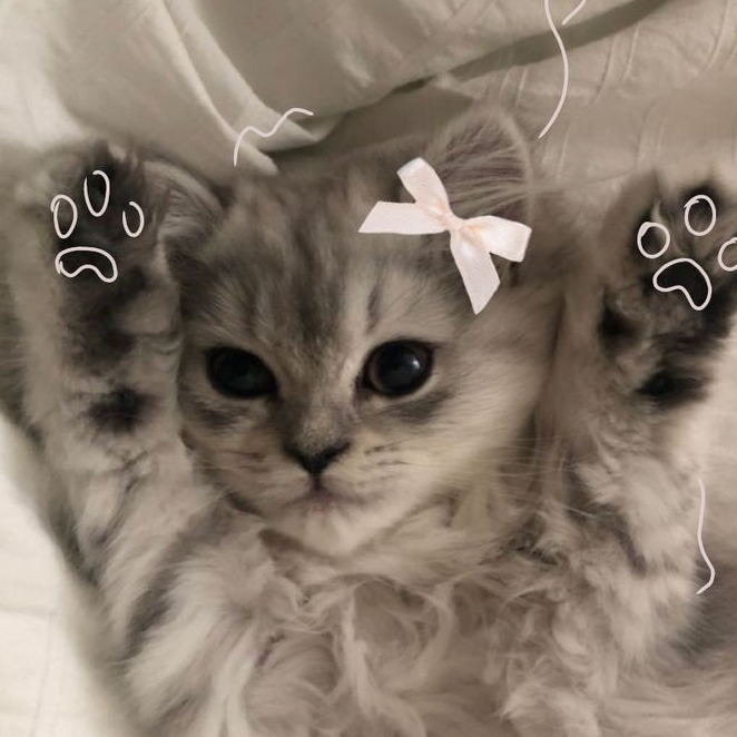 Иконка канала _Vika272 перезаливы_